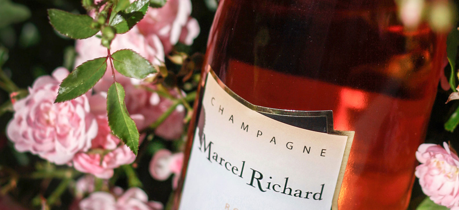 Champagne Marcel Richard - Moussy - Marne