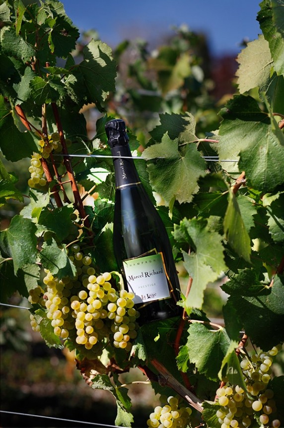 Champagne Marcel Richard - Moussy - Marne